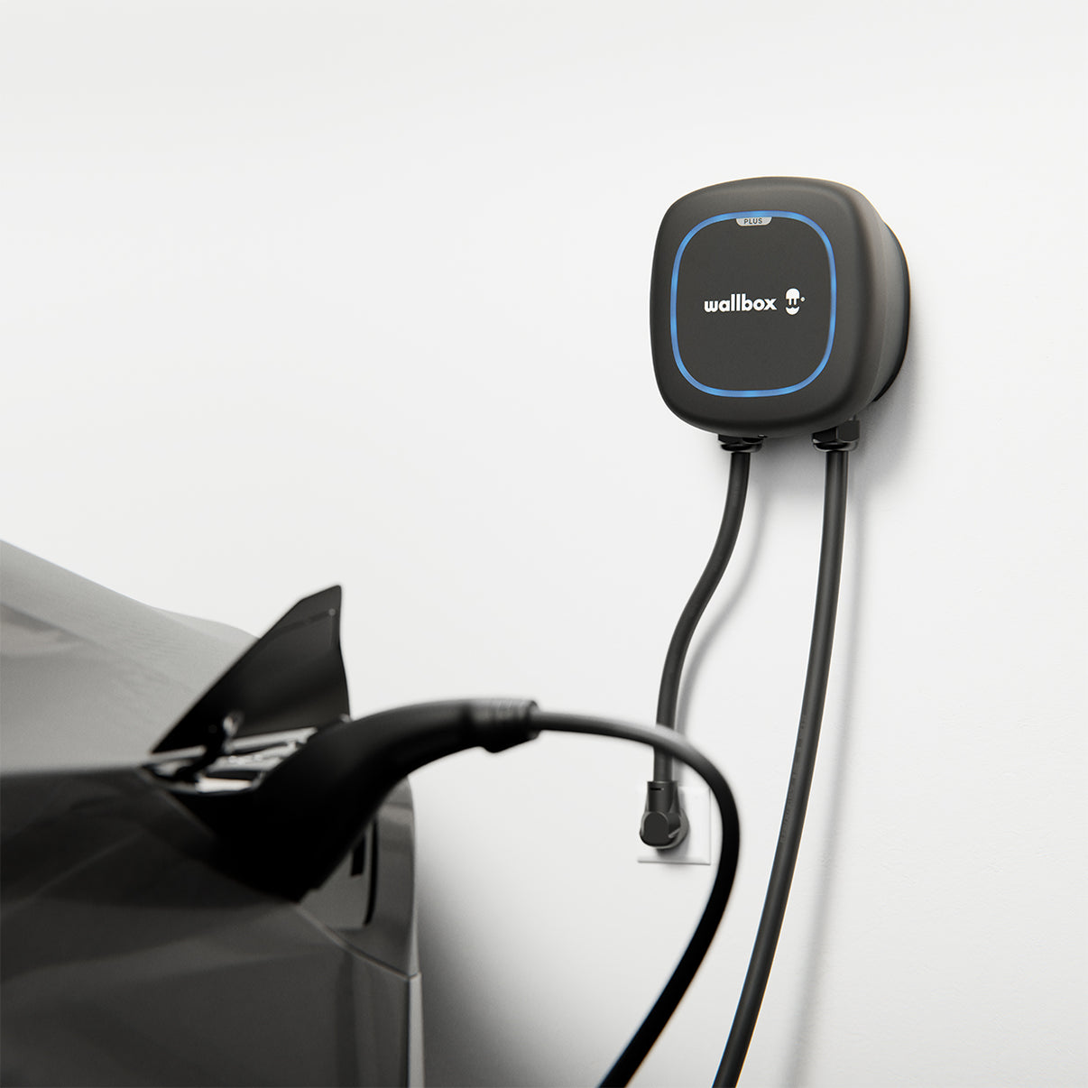 Buy our Smart EV Charger Pulsar Plus | Wallbox Shop