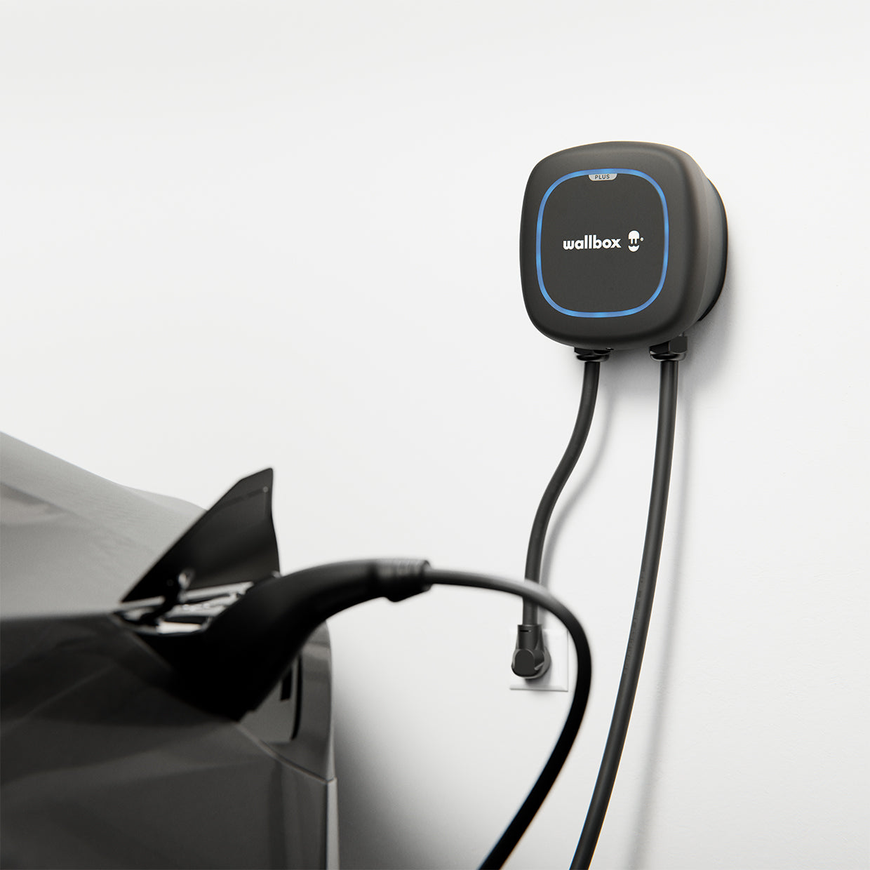 Buy our Smart EV Charger Pulsar Plus | Wallbox Shop